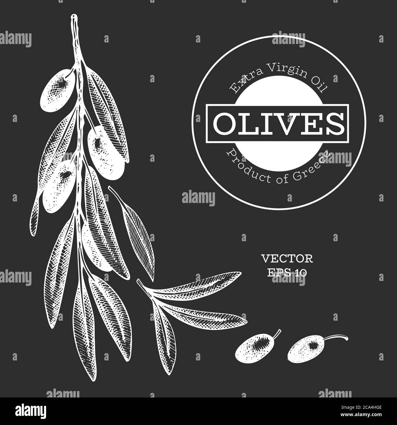 Olive branch illustration. Hand drawn vector food illustration on chalk ...