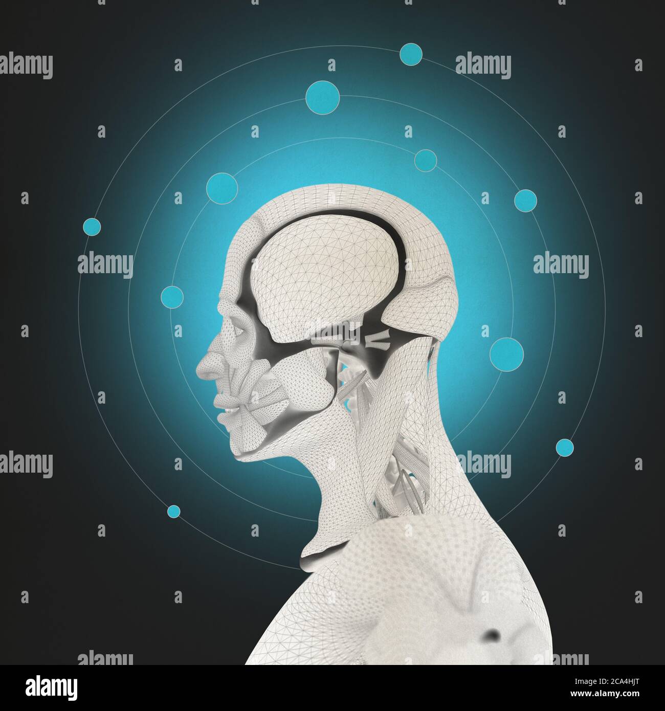 Anatomy concept illustration of human head, though, intellect. 3D ...