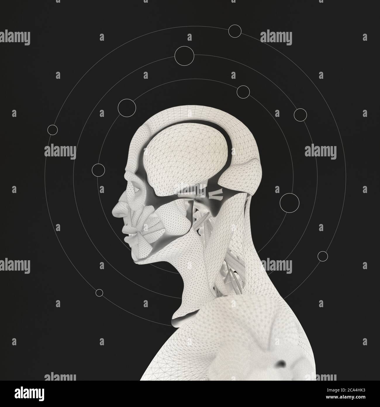 Anatomy concept illustration of human head, though, intellect. 3D ...