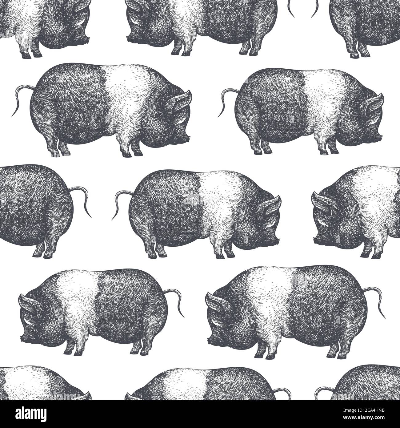 Hand drawn farm animals background. Vector pig seamless pattern. Retro ...
