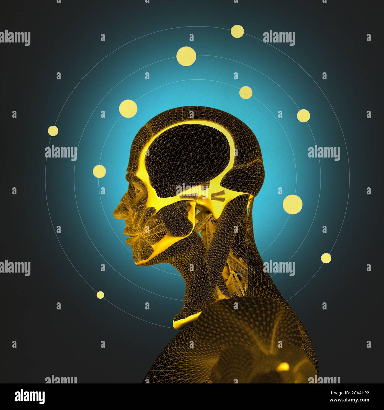 Anatomy concept illustration of human head, though, intellect. 3D ...