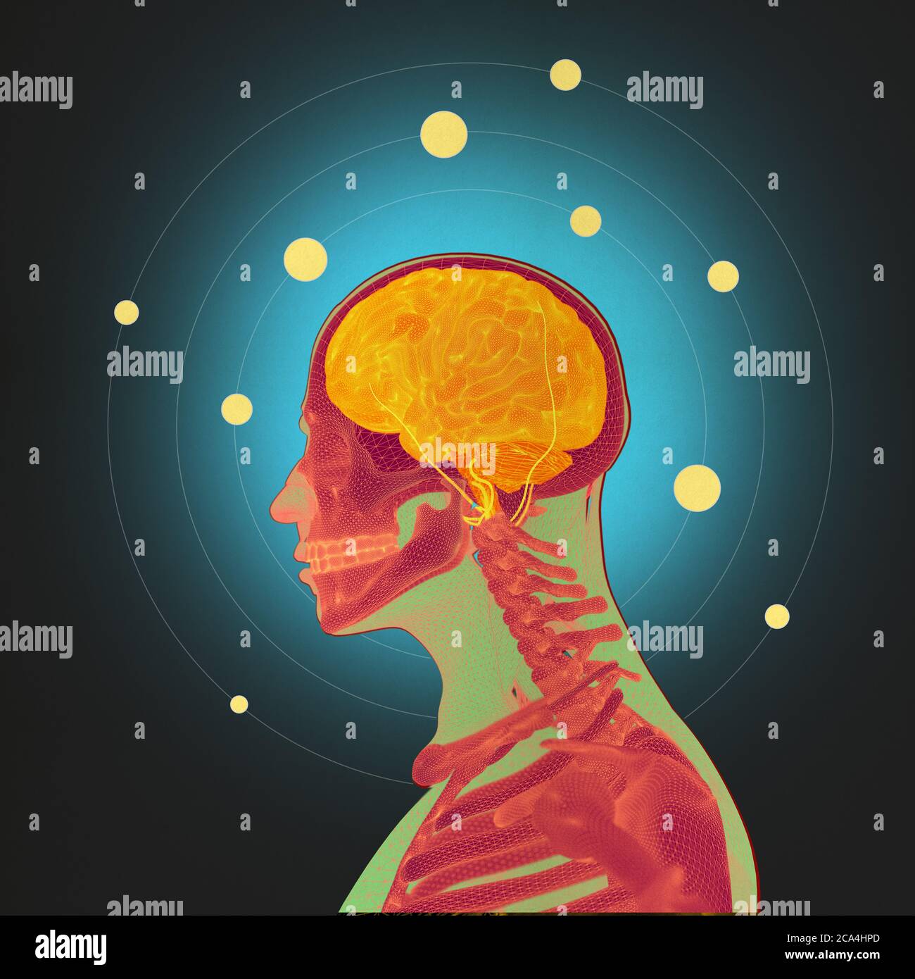 Anatomy concept illustration of human head, though, intellect. 3D ...