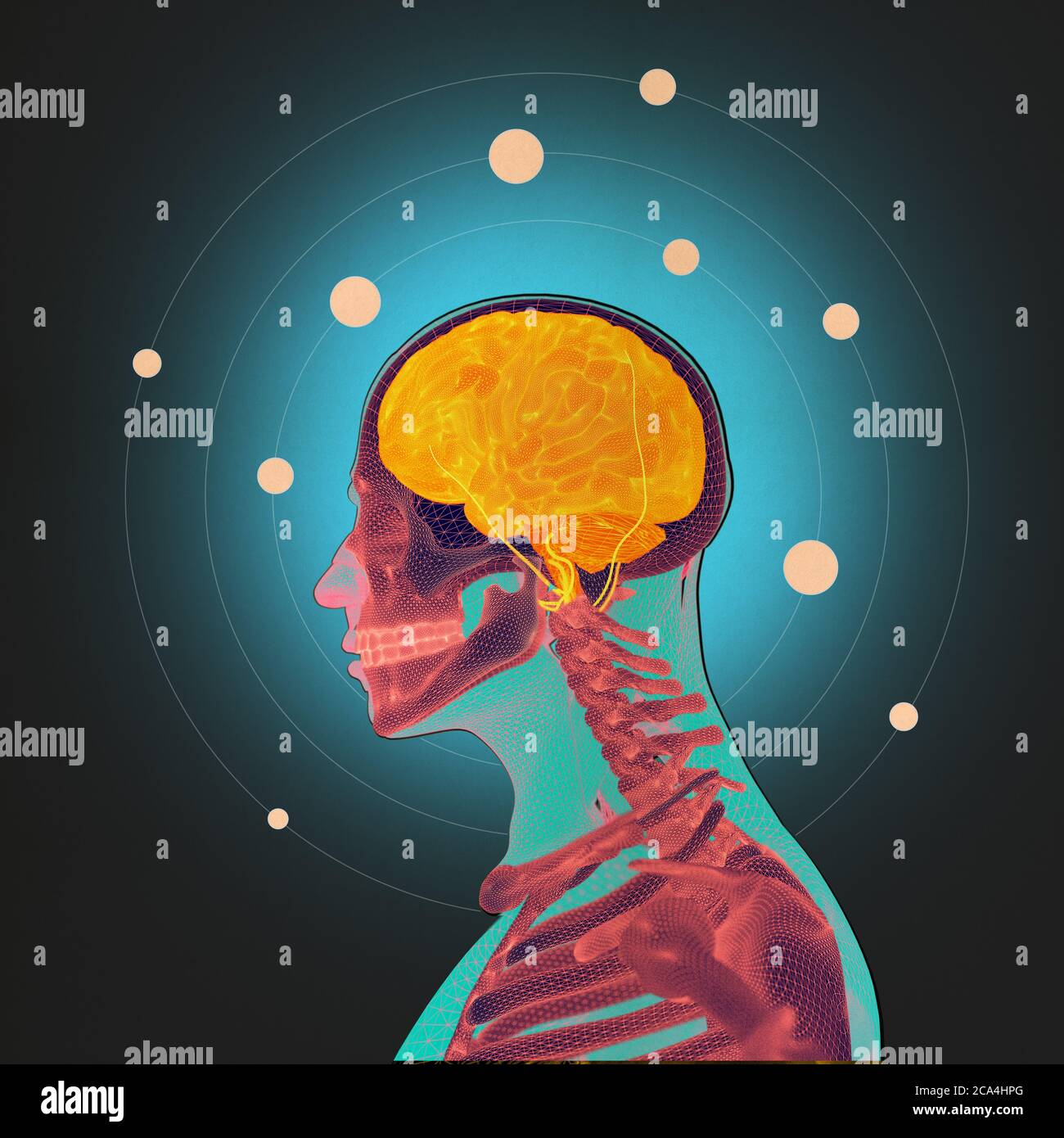 Anatomy concept illustration of human head, though, intellect. 3D ...
