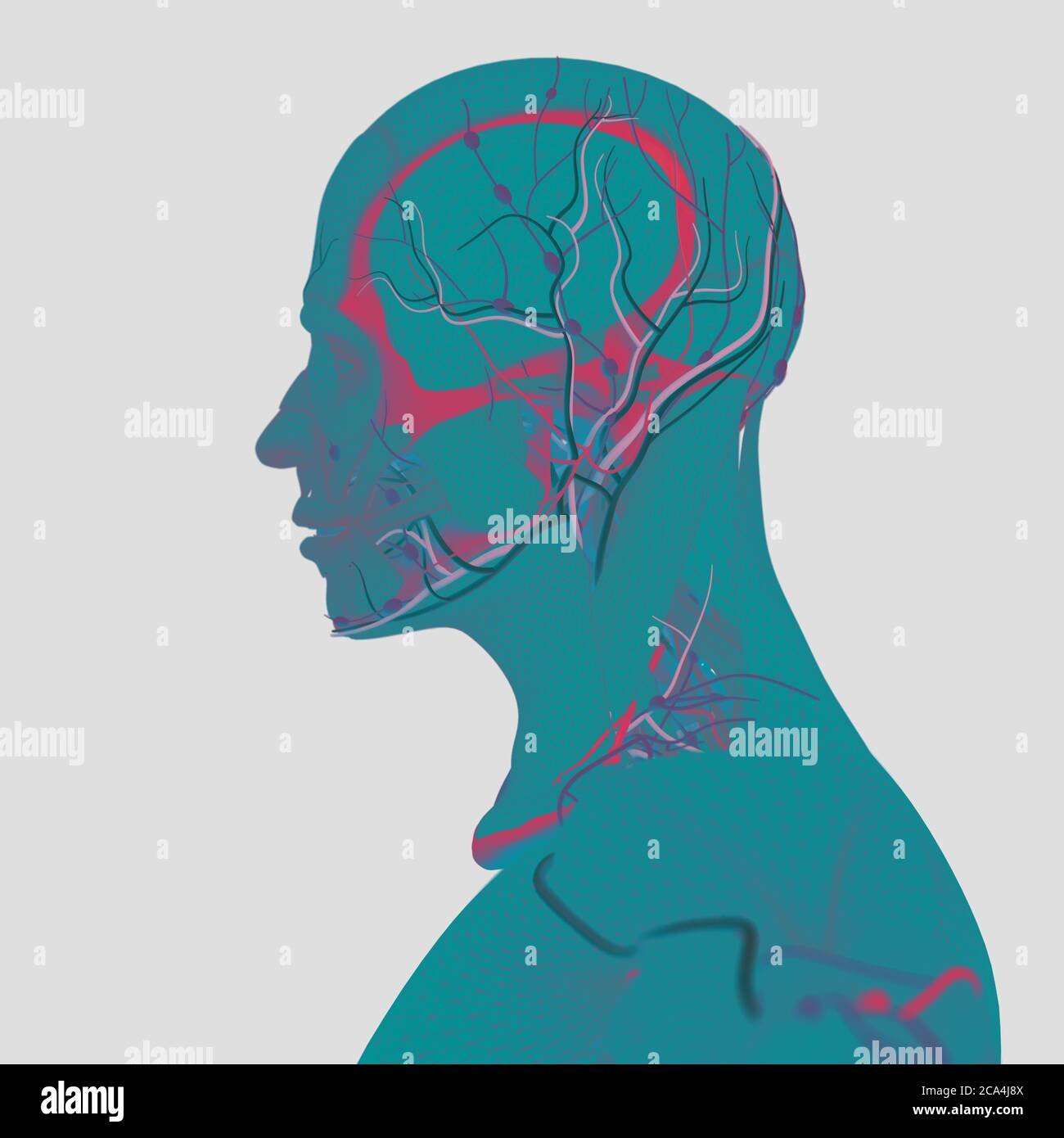 Anatomy concept illustration of human head, though, intellect. 3D ...
