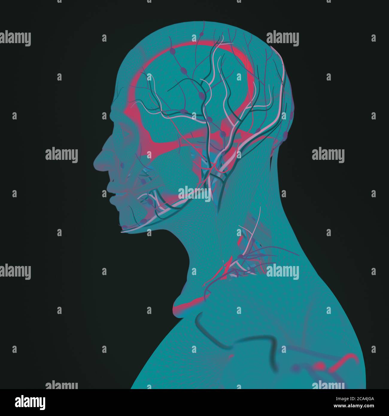 Anatomy concept illustration of human head, though, intellect. 3D ...