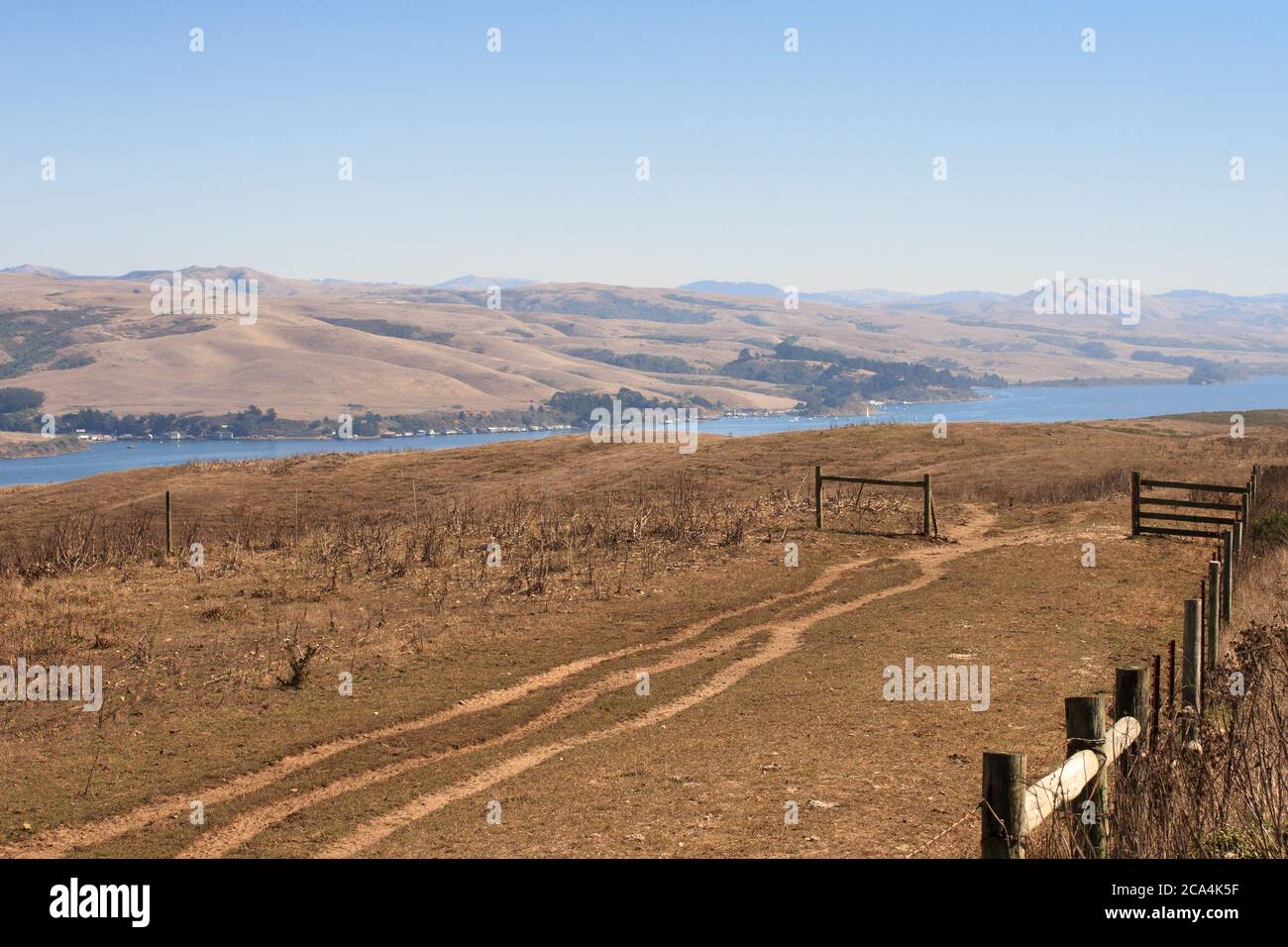 Point Reyes in California Stock Photo - Alamy