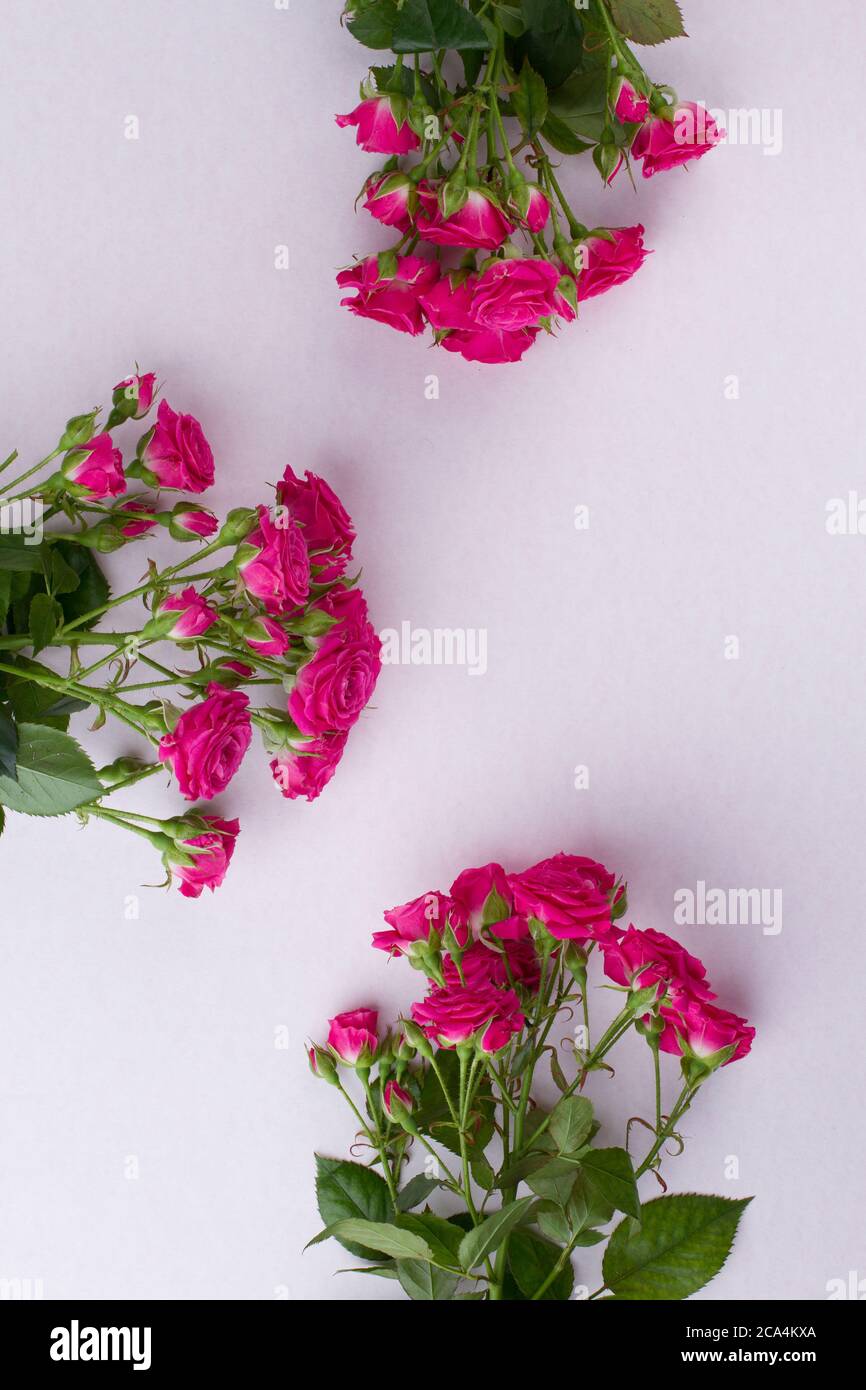 Three rose blossom bouquet hi-res stock photography and images - Alamy