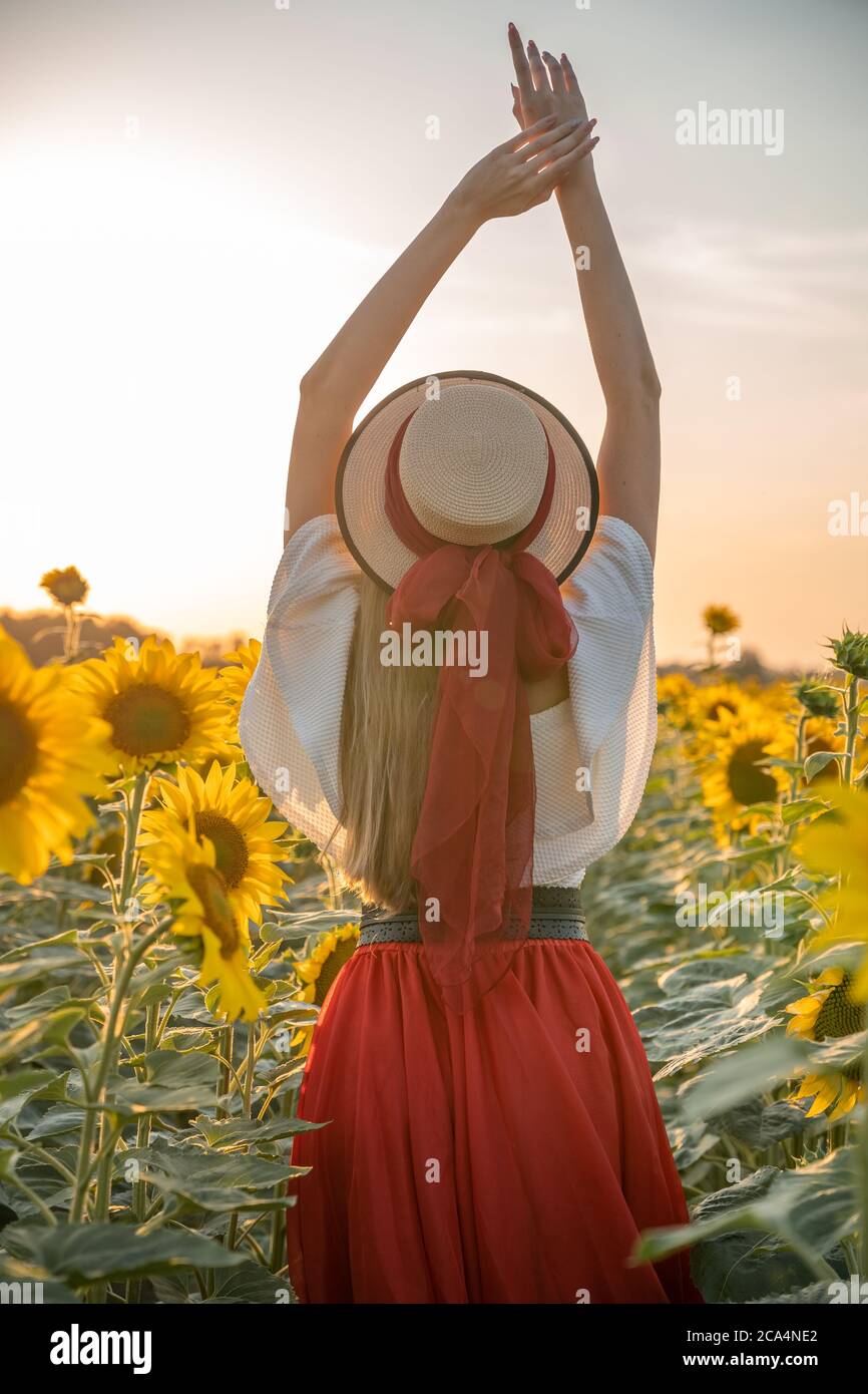 A portrait of a young girl that is standing back to camera in sunflower ...