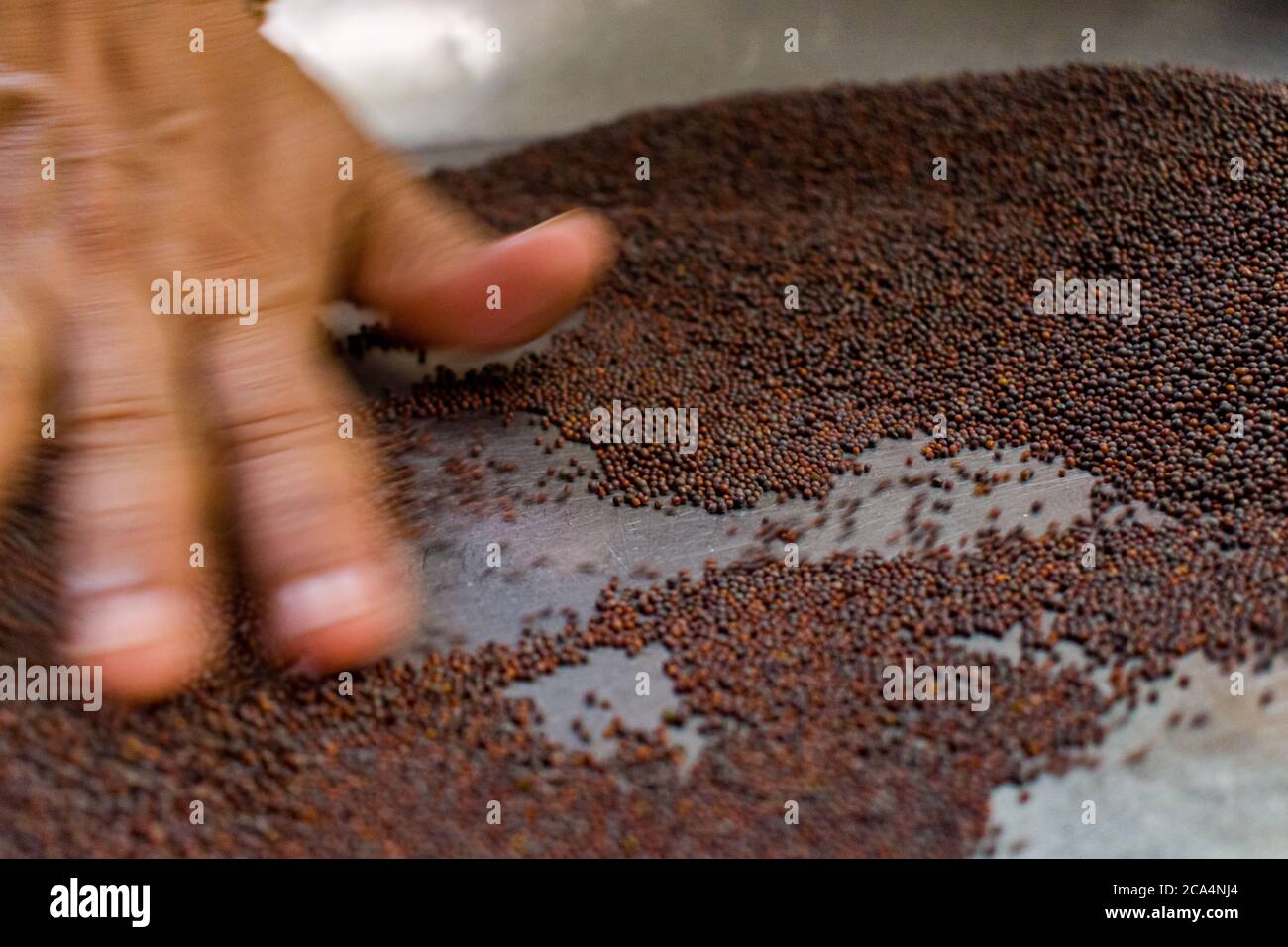 Mustard texture hi-res stock photography and images - Alamy