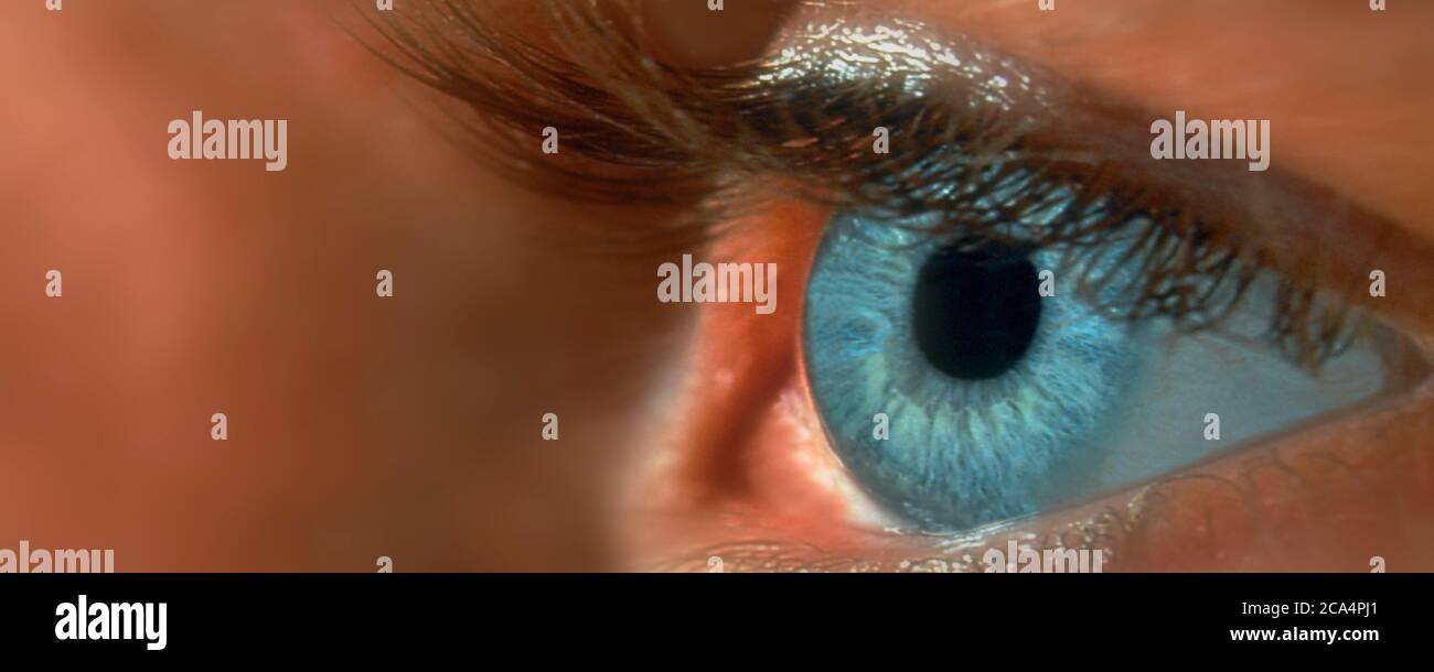 Human close up eye hi-res stock photography and images - Alamy