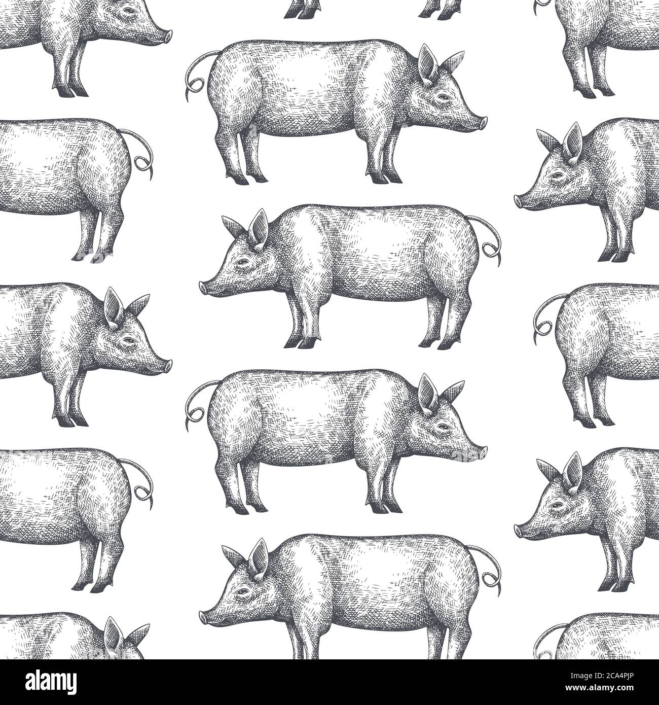 Hand drawn farm animals background. Vector pig seamless pattern. Retro ...
