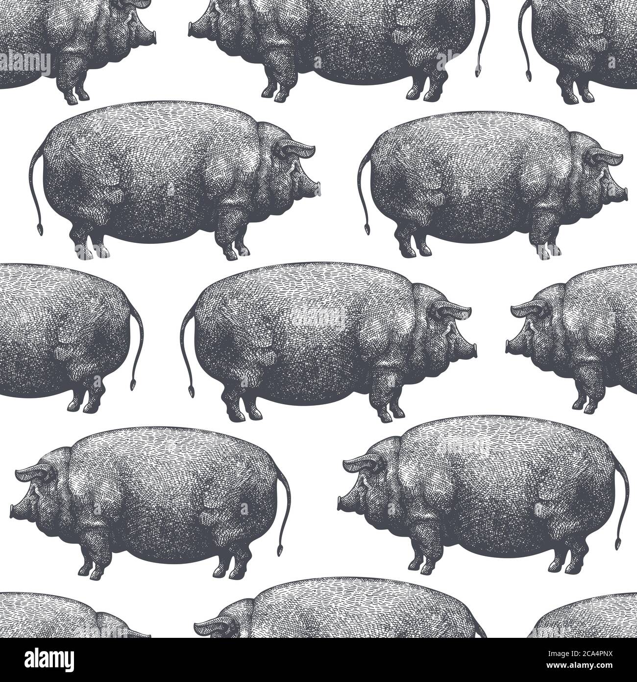 Hand drawn farm animals background. Vector pig seamless pattern. Retro ...