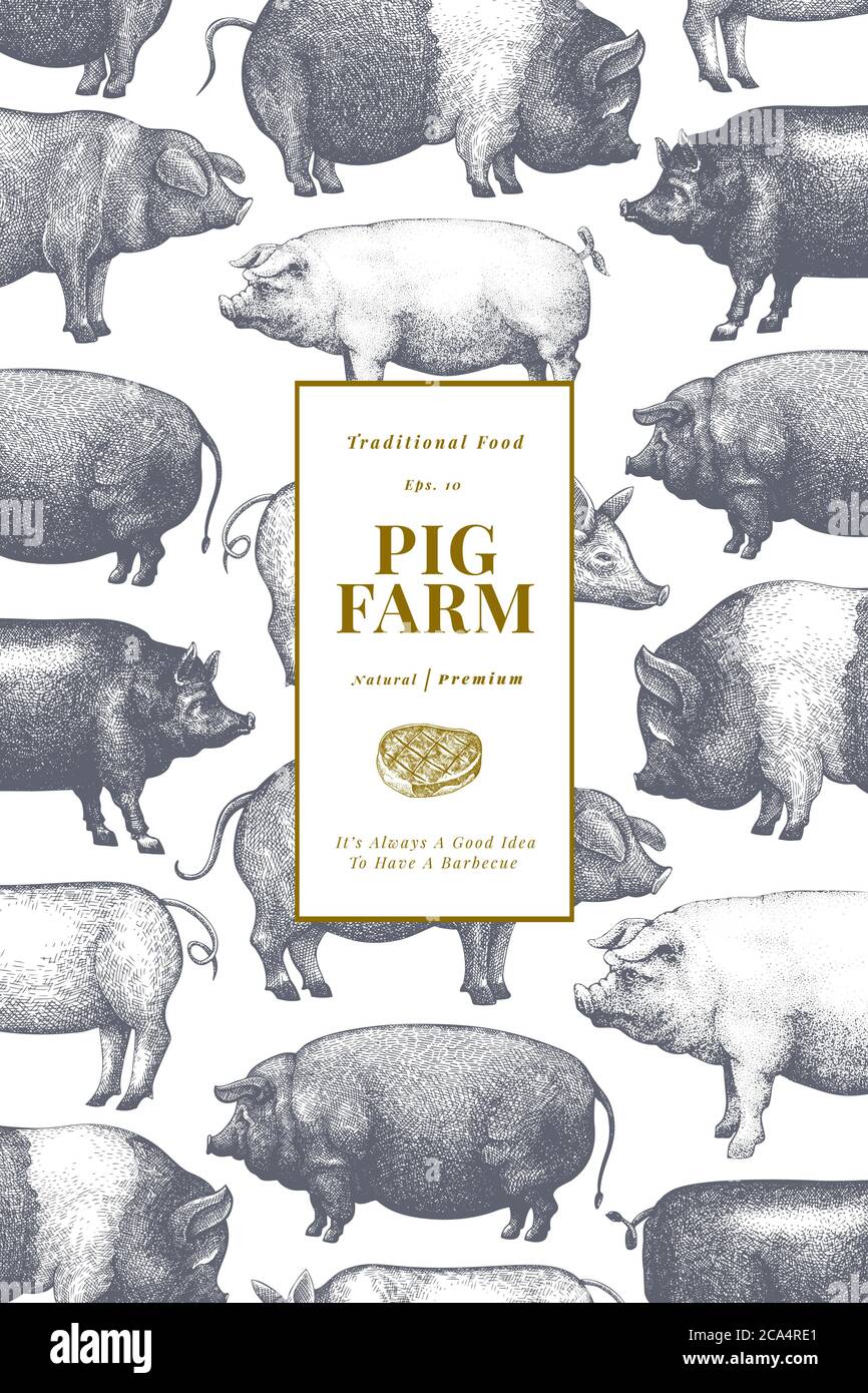 Hand drawn farm animals background. Vector pig design template. Retro ...