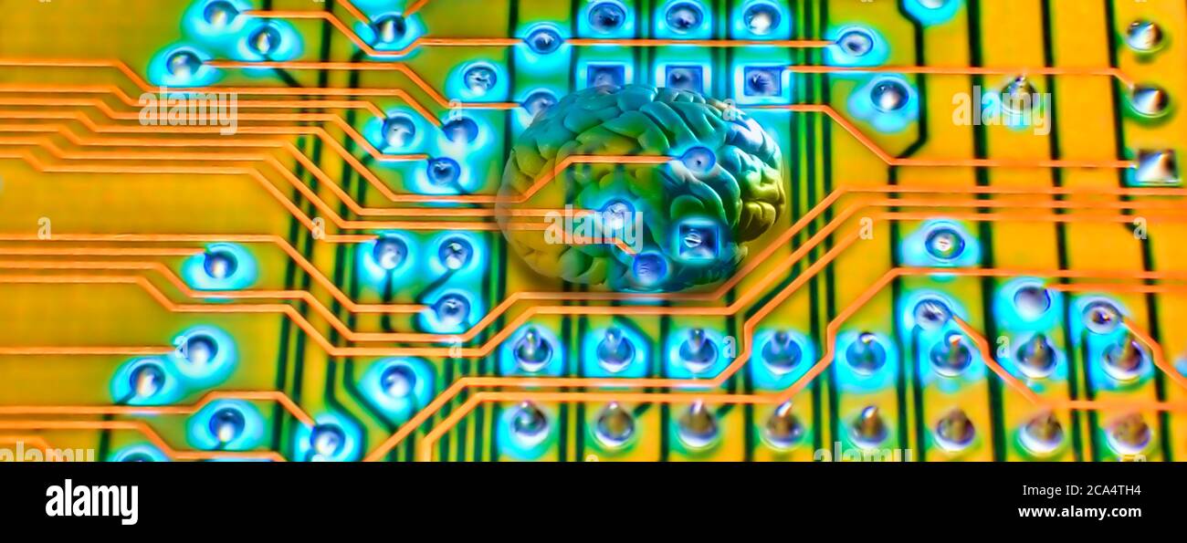 Human brain and circuit board hi-res stock photography and images - Alamy
