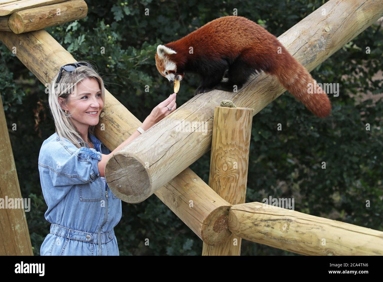 Countryfile presenter Helen Skelton feeds a red panda during a visit to ...