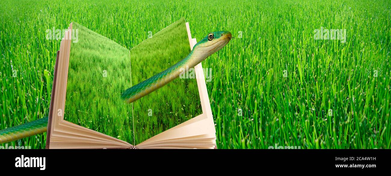 Pop up book hi-res stock photography and images - Alamy