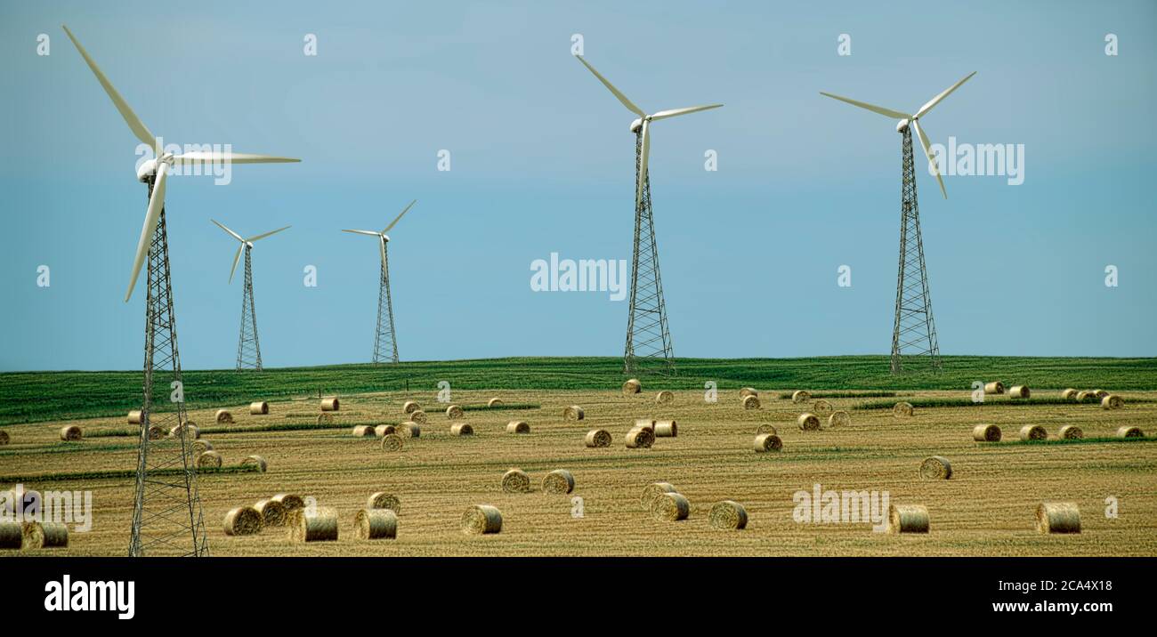 Wind turbines in a field with hay bales Stock Photo - Alamy