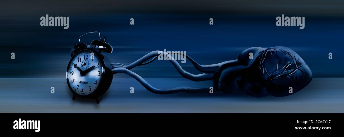 Human heart and brain hi-res stock photography and images - Alamy