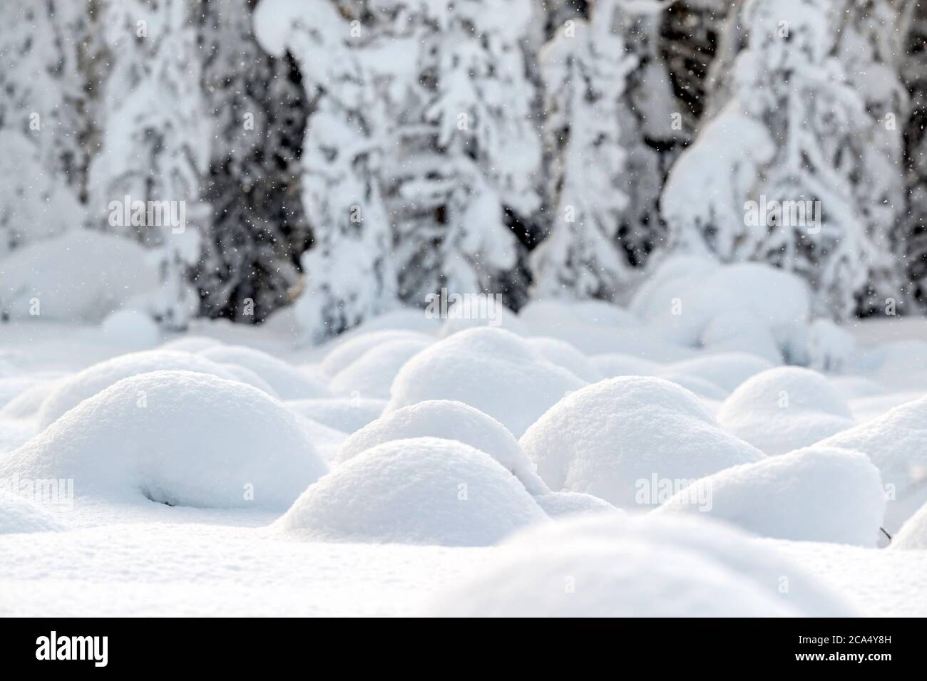 Ruka hi-res stock photography and images - Alamy
