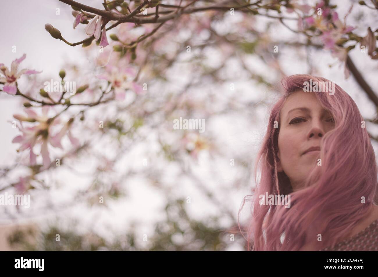 Pink haired woman under pink blossom tree Stock Photo - Alamy