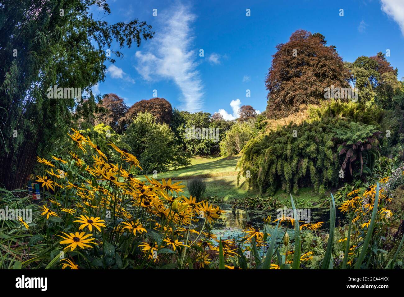 Bamboo water feature garden hi-res stock photography and images - Alamy