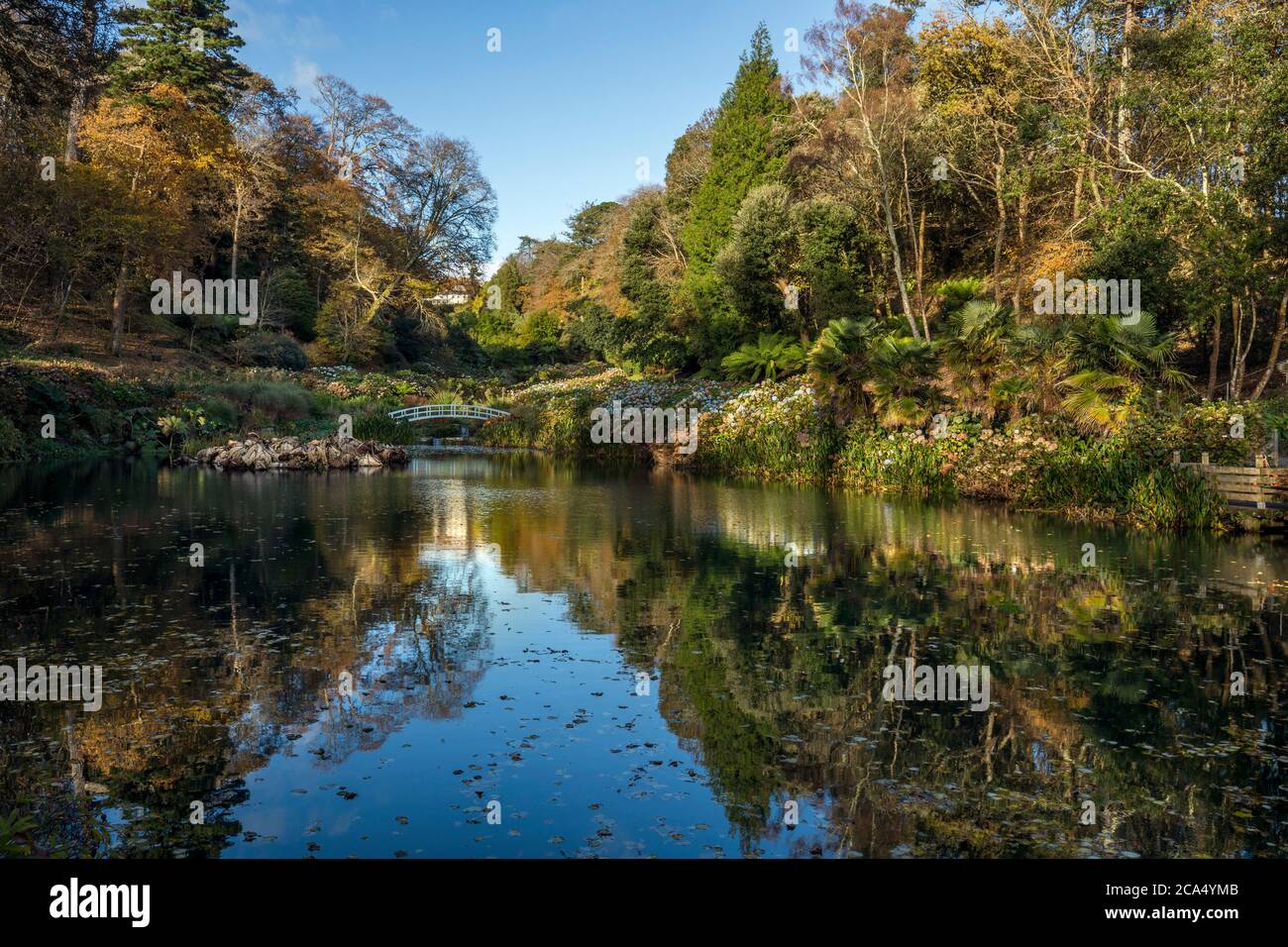 Trebah Garden; Autumn; Cornwall; UK Stock Photo - Alamy