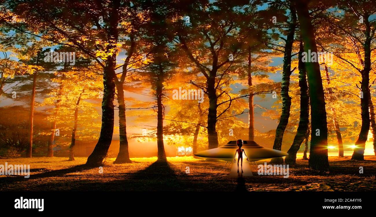 Alien and UFO in the forest Stock Photo - Alamy