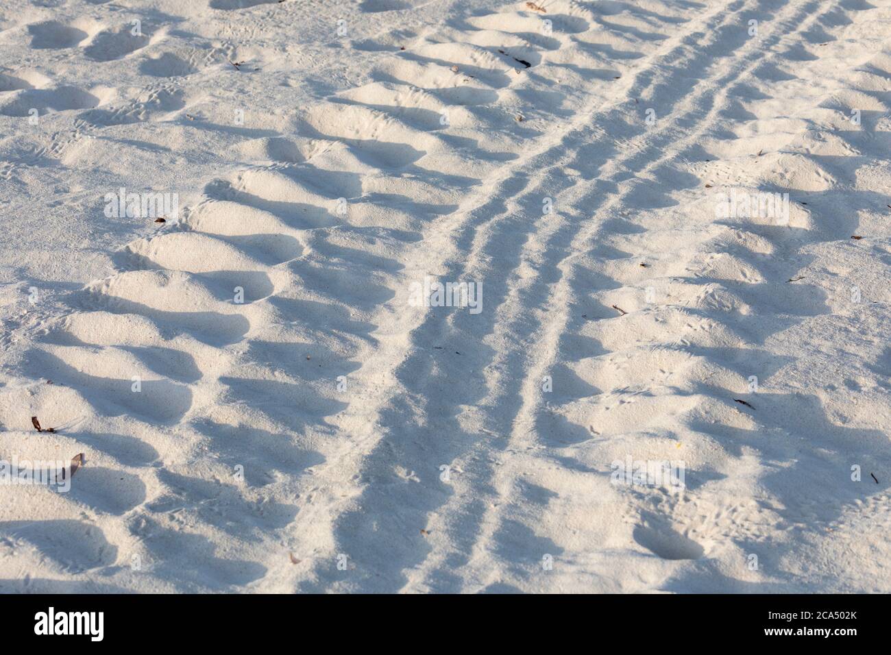 Turtle Tracks in the Sand; Seychelles Stock Photo - Alamy