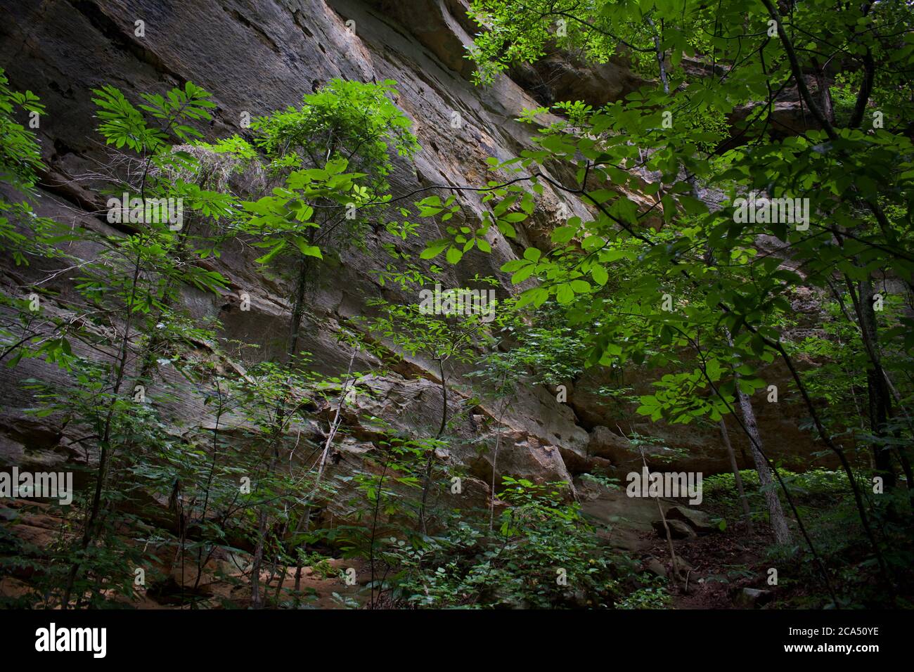 Daniel Boone National Forest Stock Photo - Alamy