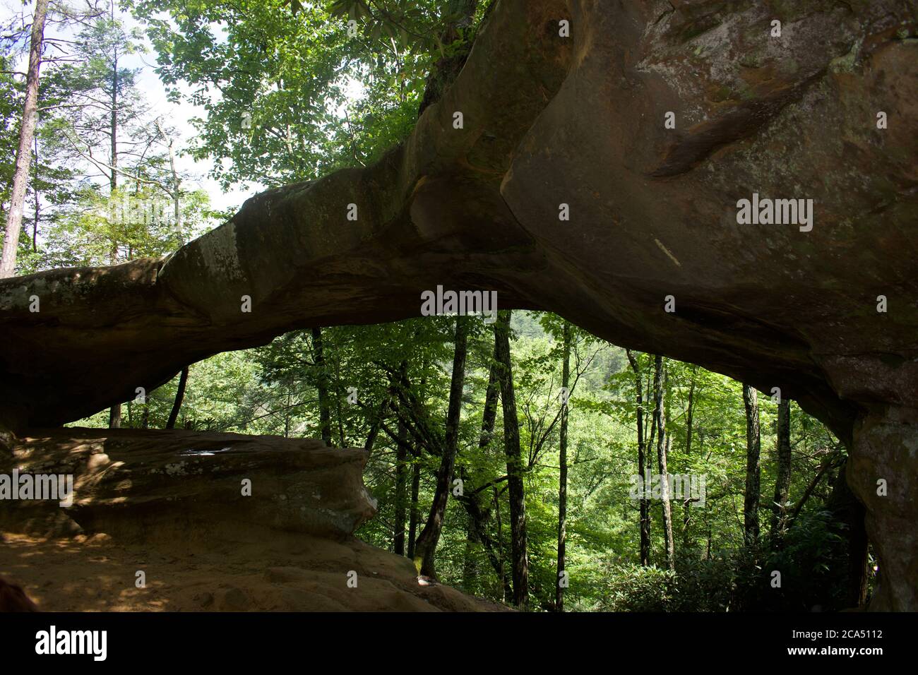 Daniel Boone National Forest Stock Photo - Alamy