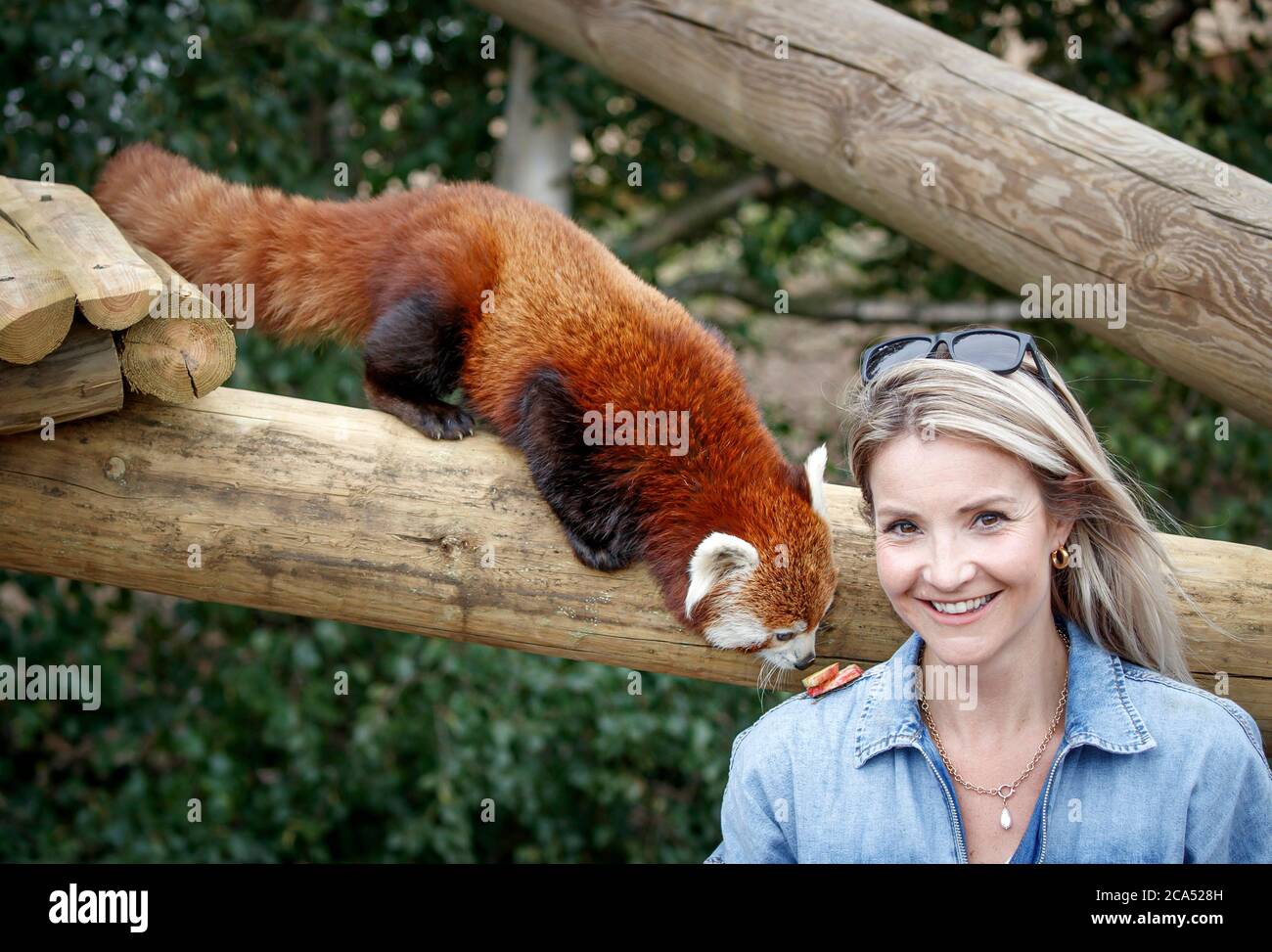 Countryfile presenter Helen Skelton feeds a red panda during a visit to ...