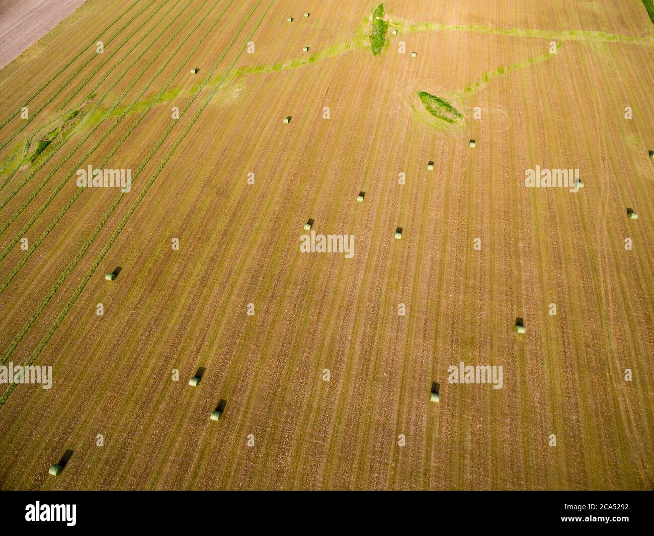 Hay bales full frame hi-res stock photography and images - Alamy