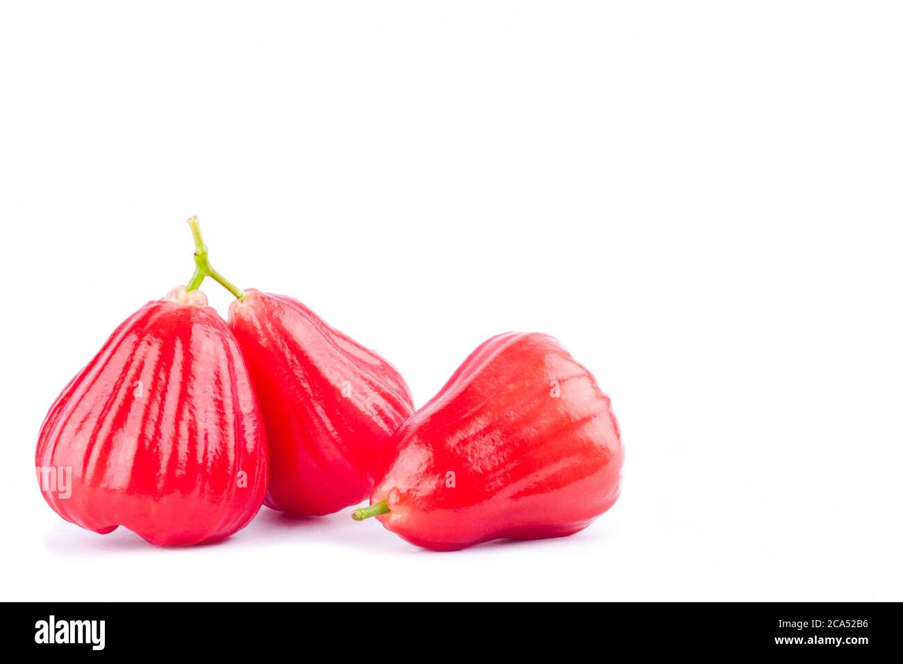 red rose apple or water apples on white background healthy rose apple ...