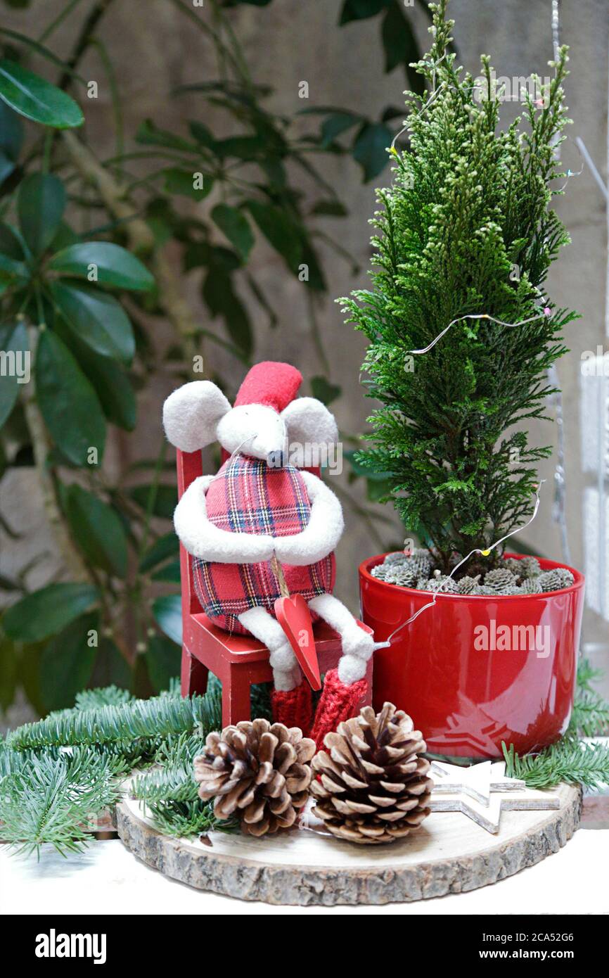 Chair shaped tree hi-res stock photography and images - Alamy