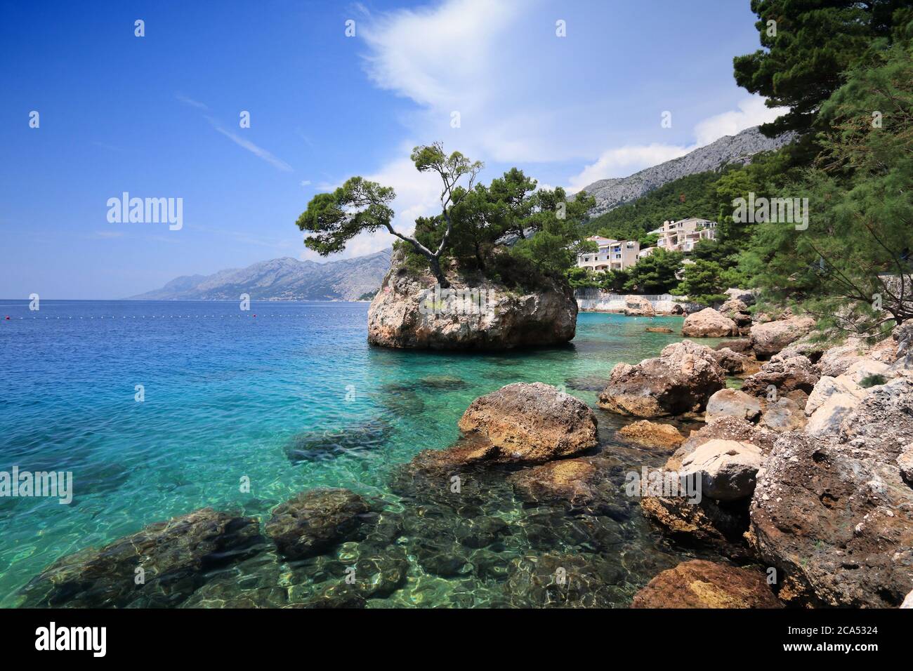 Brela, Croatia. Natural landmark miniature rock island with sturdy pine ...