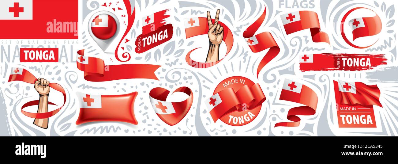 Vector set of the national flag of Tonga in various creative designs ...