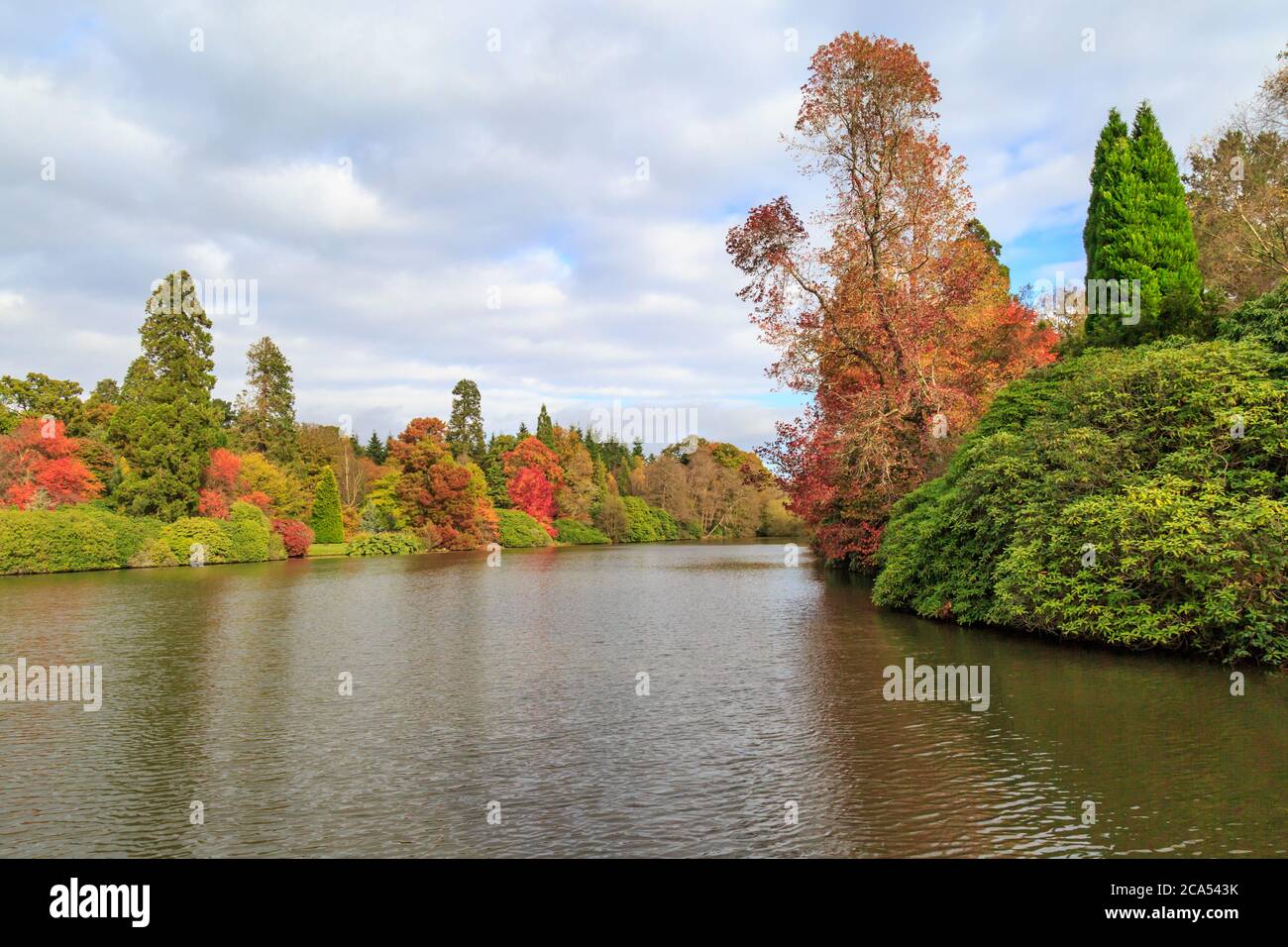 Trees around a lake hi-res stock photography and images - Alamy