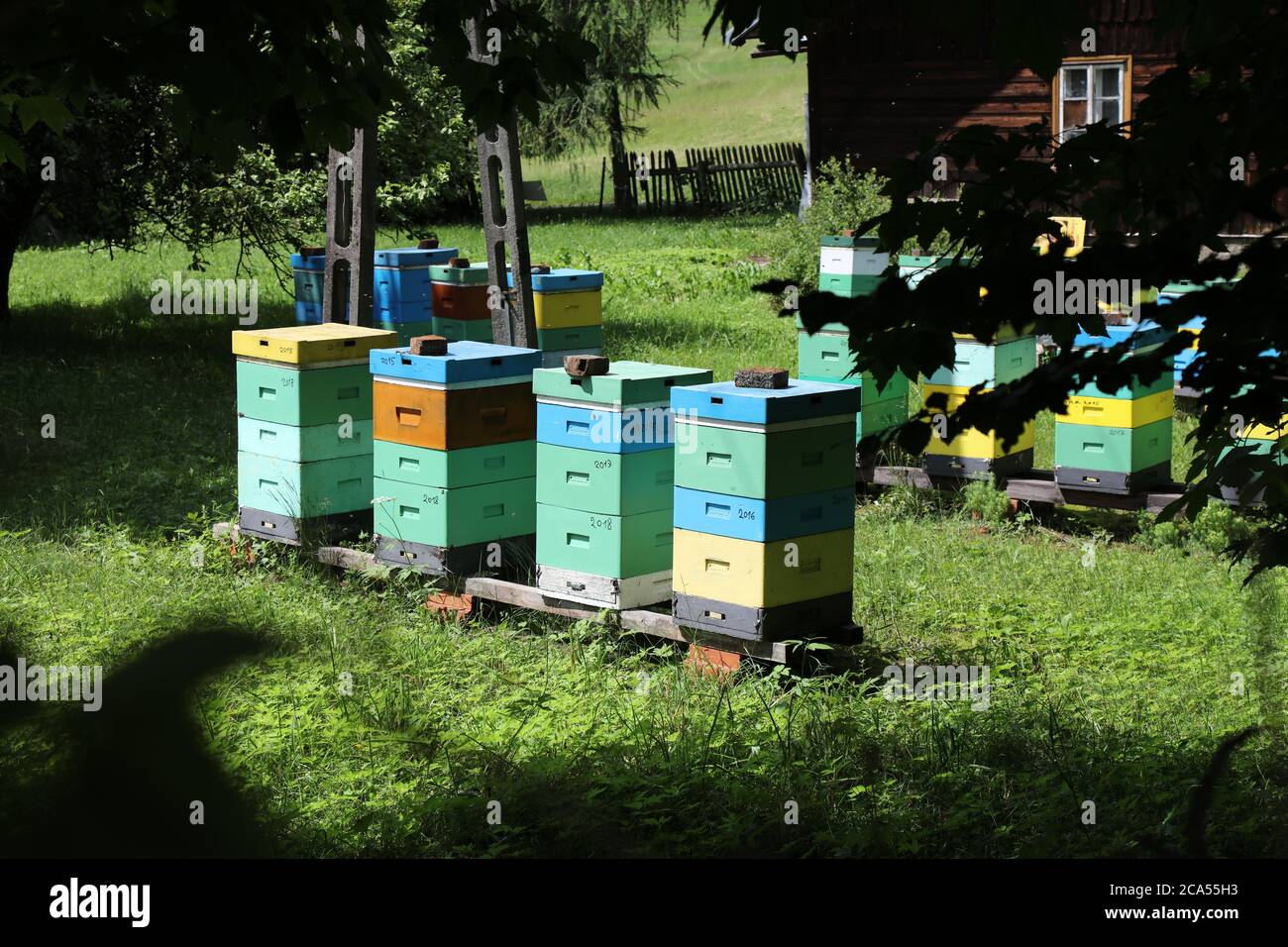 Small local farm near Zywiec, Poland. Colorful bee hives Stock Photo ...