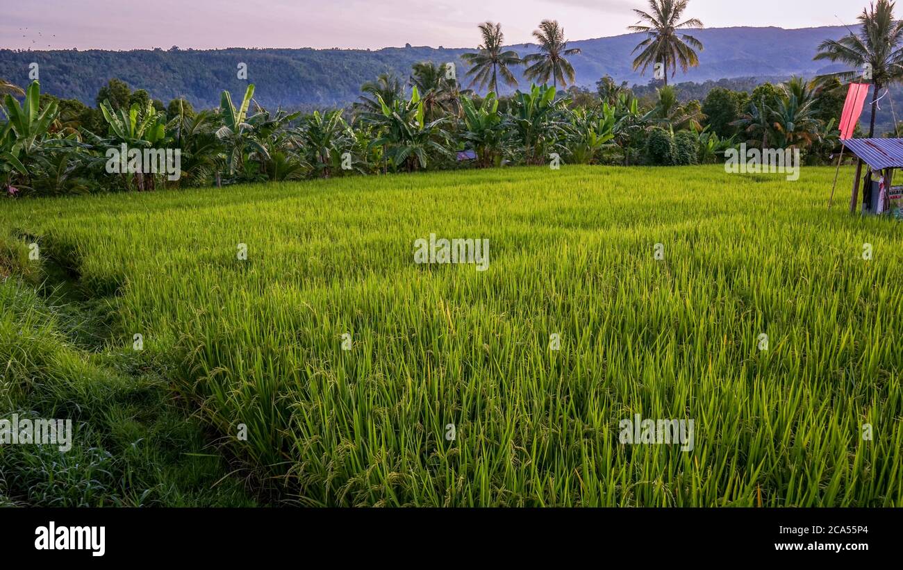 Beautiful farm view hi-res stock photography and images - Alamy