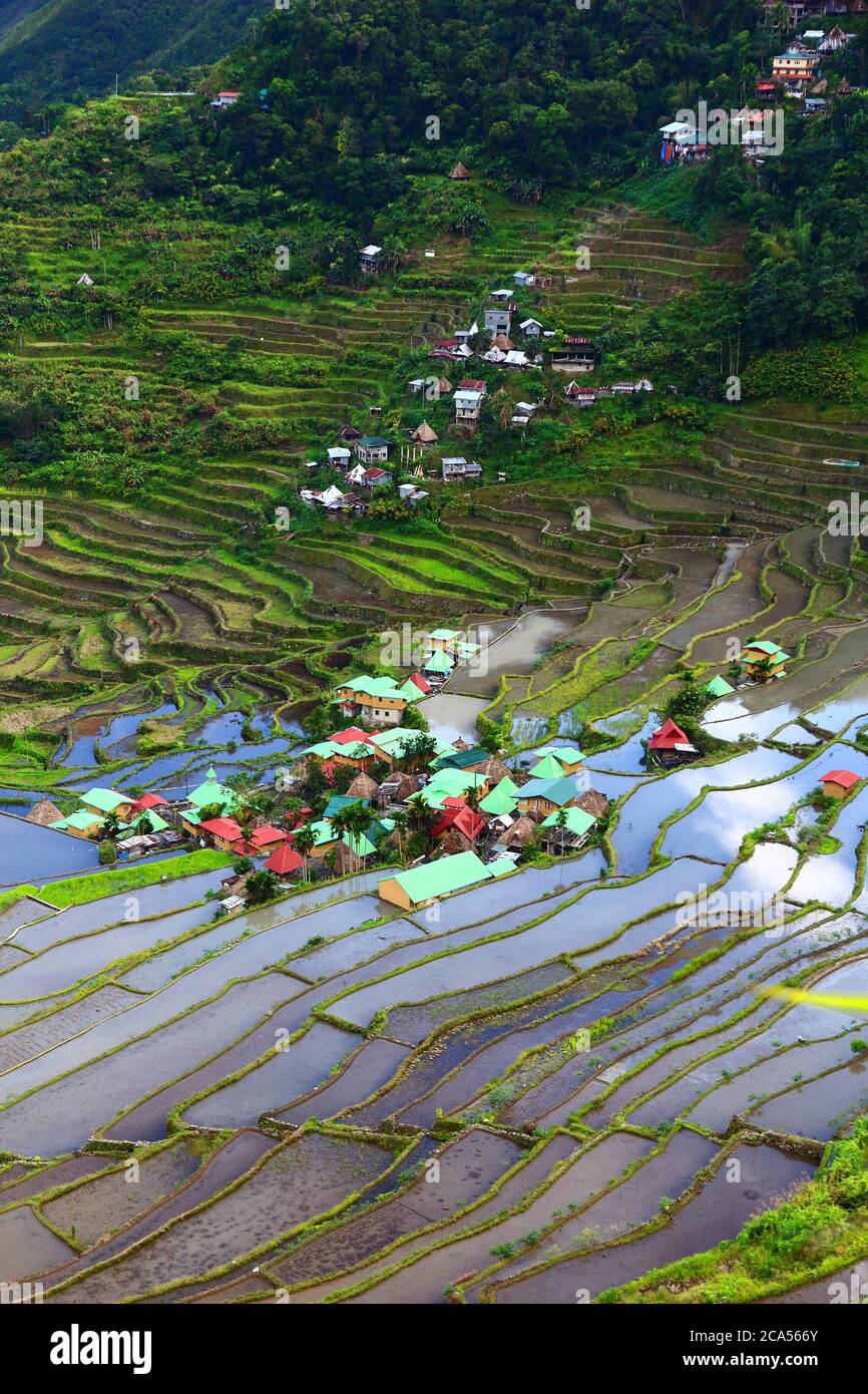 Banaue rice terraces batad philippine cordilleras hi-res stock ...