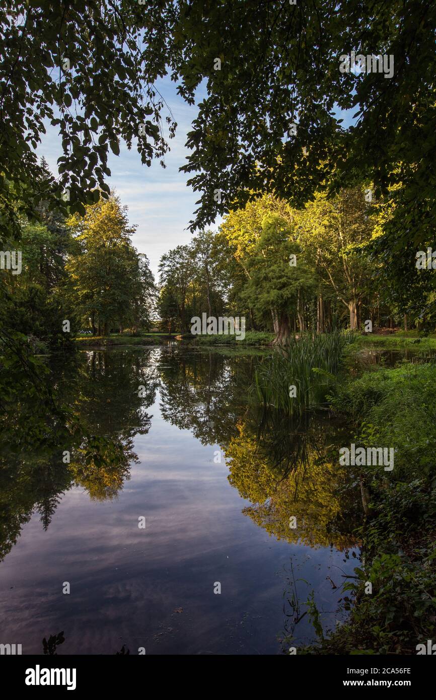lake black wall sunset summer tree Stock Photo - Alamy