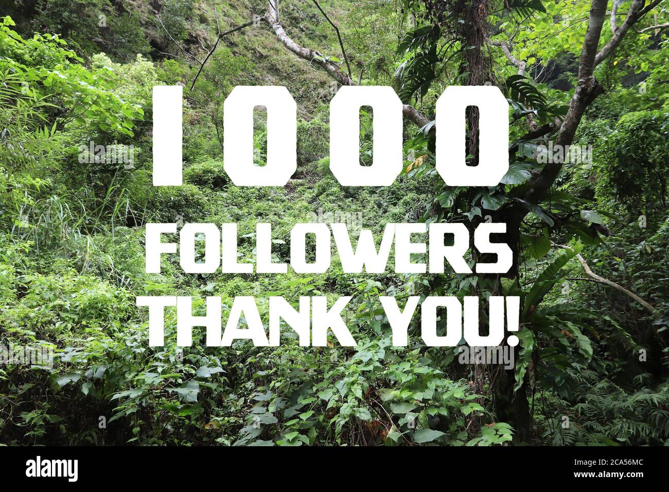 1000 subscribers hi-res stock photography and images - Alamy