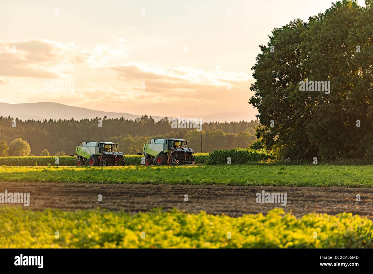 Large combine harvesters standing in agricultural field at summertime ...