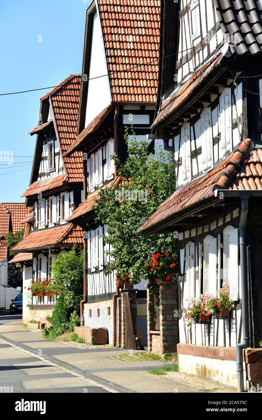 France, Bas Rhin, Hunspach, labelled Les Plus Beaux Villages de France ...