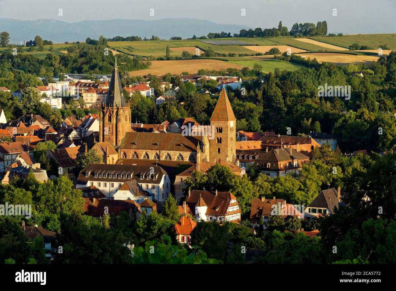 Outre foret hi-res stock photography and images - Alamy