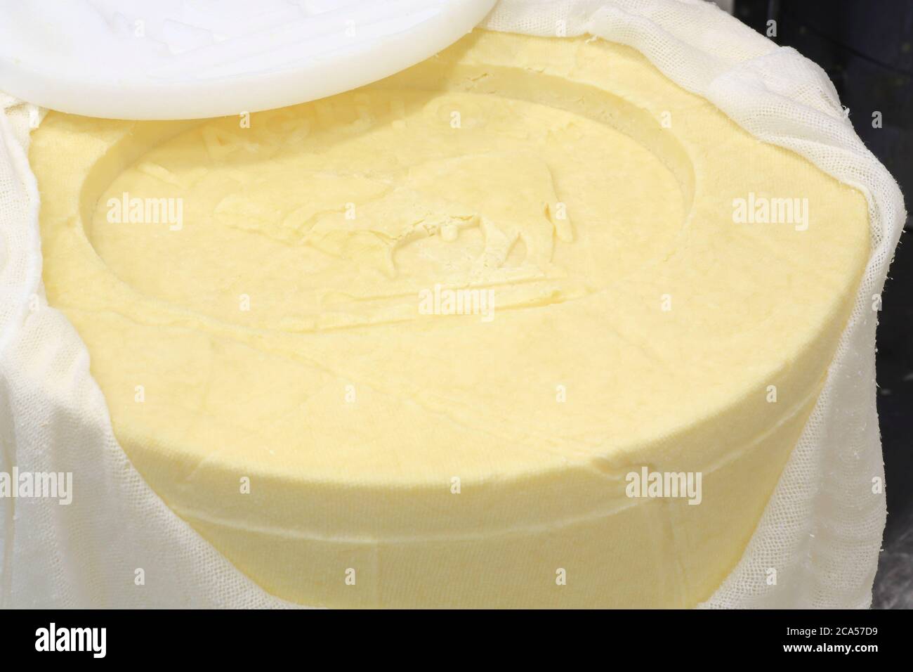 France, Aveyron, Aubrac plateau, Laguiole, Coopérative Fromagère Jeune ...