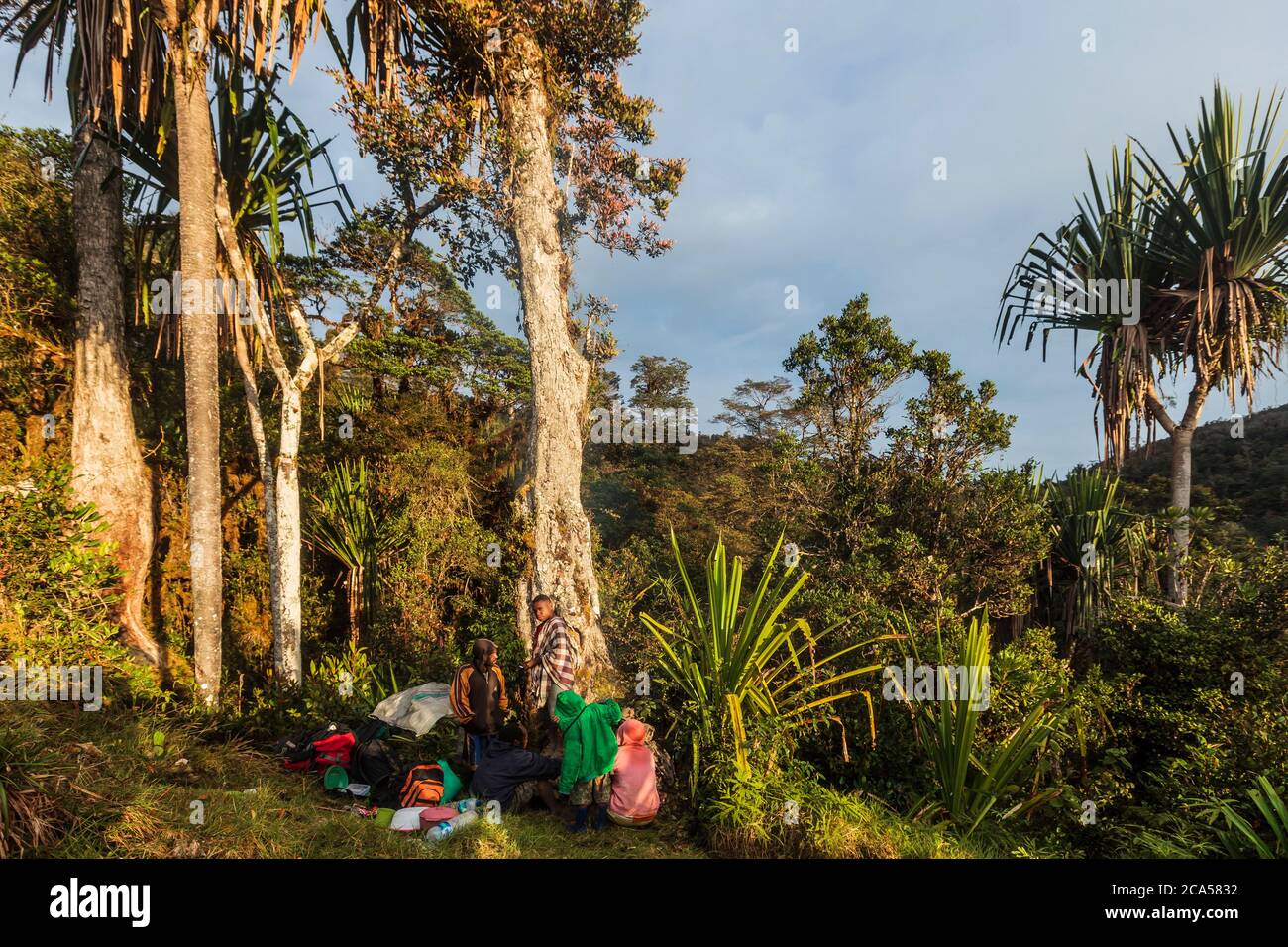 Indonesia, Papua, Baliem valley, near Wamena, Yali people territory ...