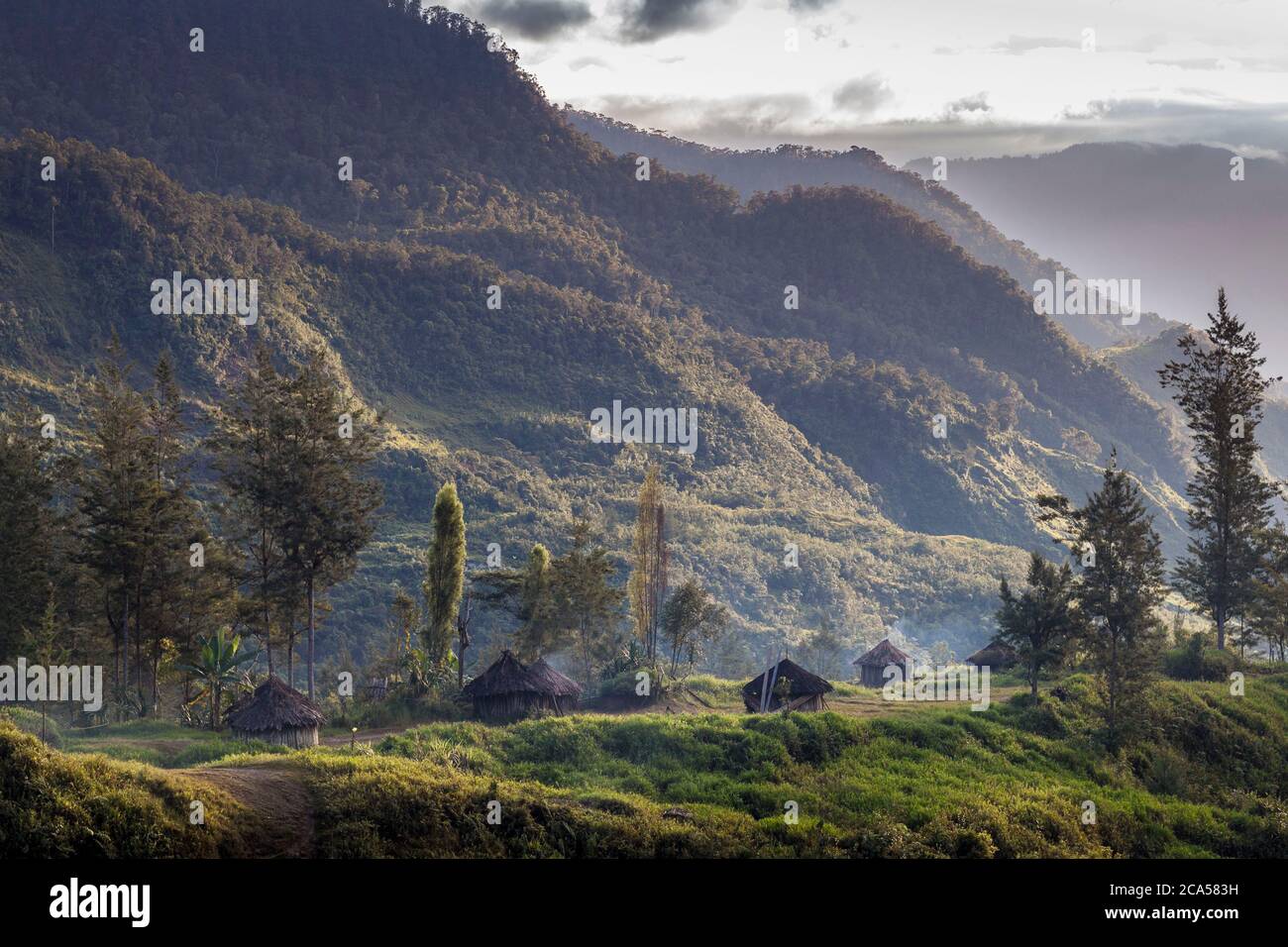 Indonesia, Papua, Baliem valley, near Wamena, Yali people territory ...