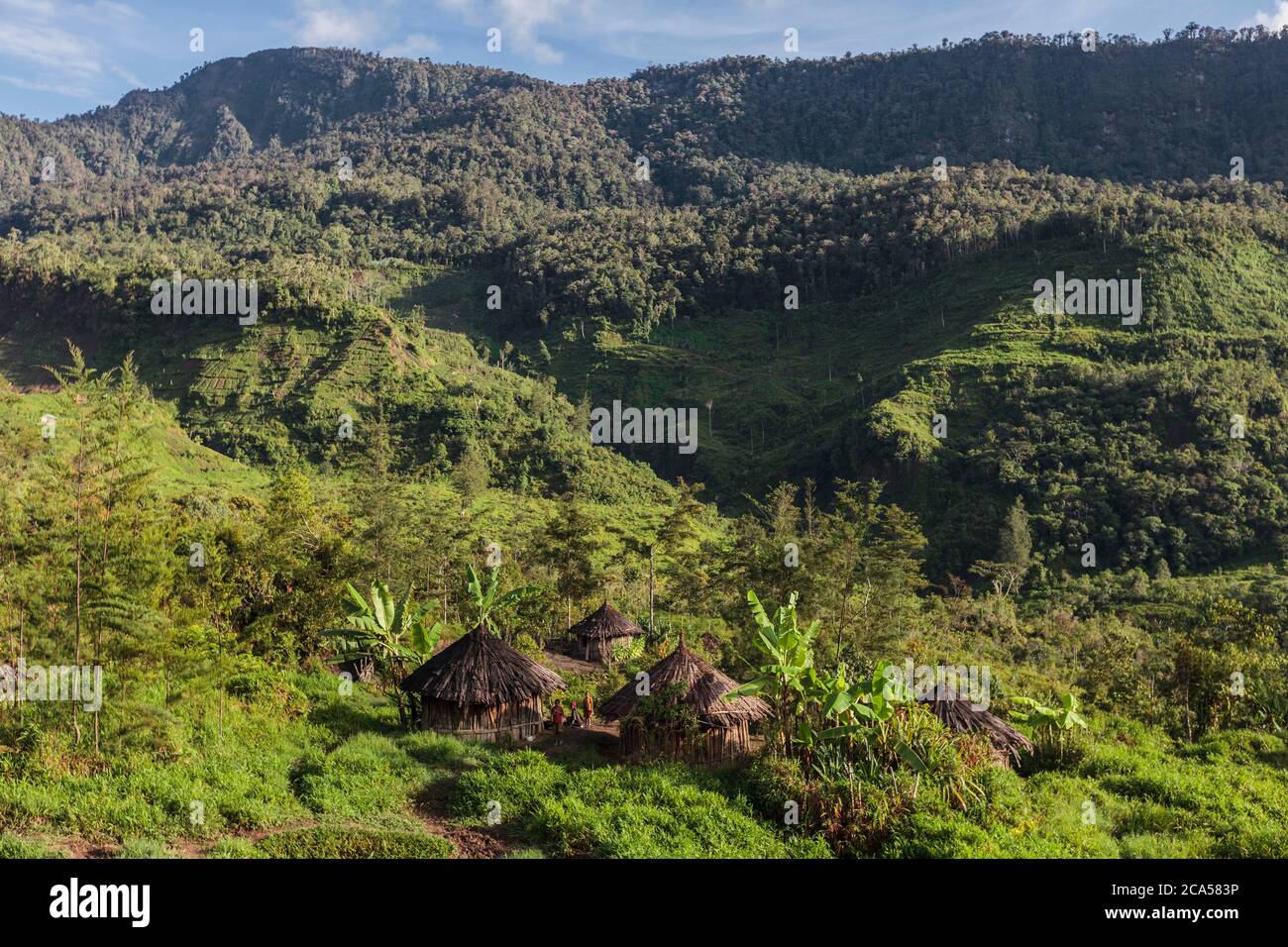 Indonesia, Papua, Baliem valley, near Wamena, Yali people territory ...