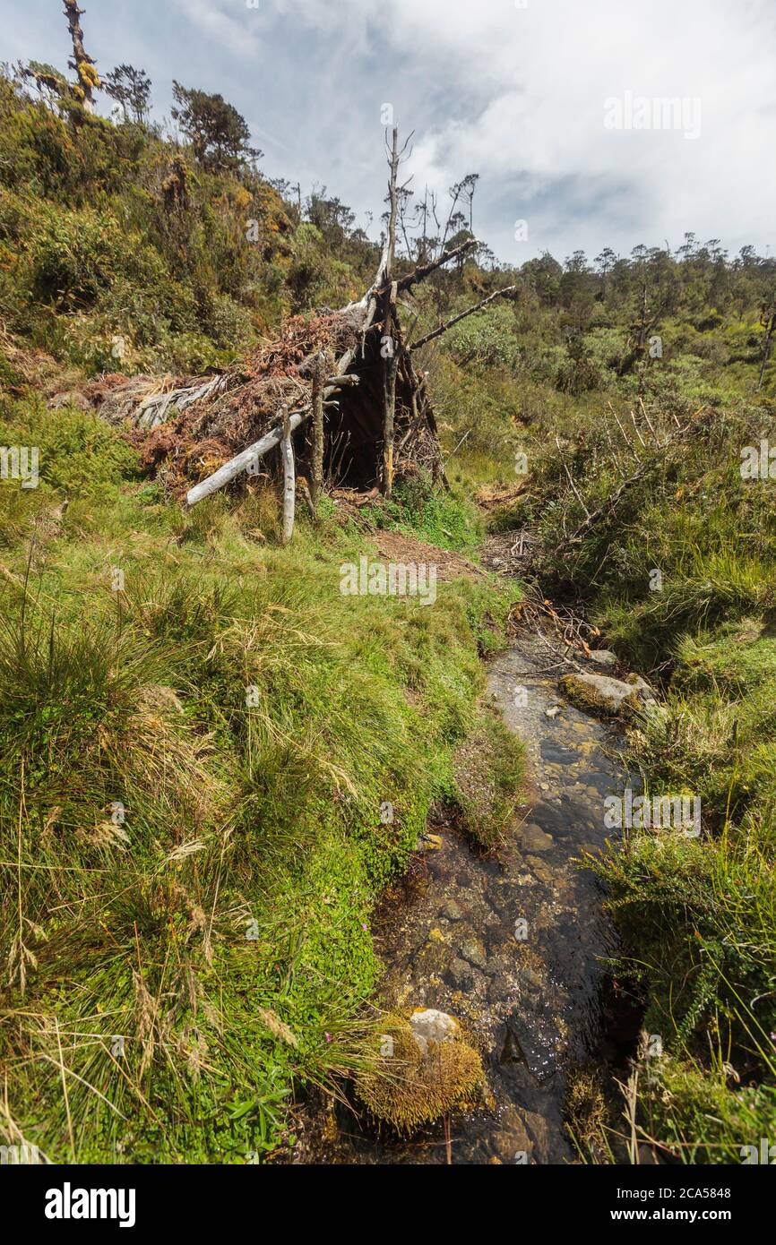 Indonesia, Papua, Baliem valley, near Wamena, Yali people territory ...